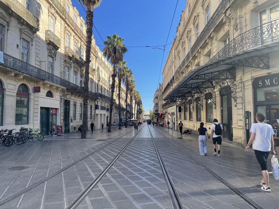 Montpellier : le temple de la rue Maguelone - Carnets de balades 2025
